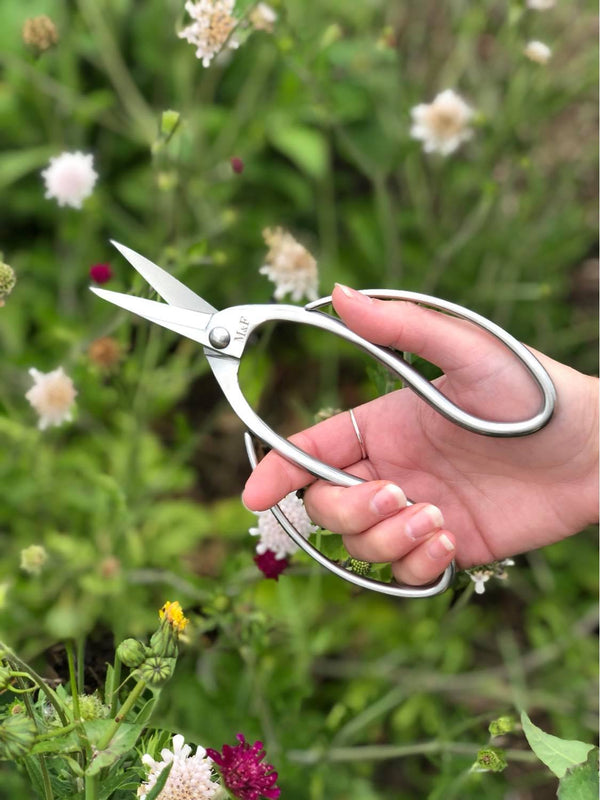 Indoor Gardening Gift Set ⎹ Bonsai Snips, Apron ⎹ Medium Gift Box ...