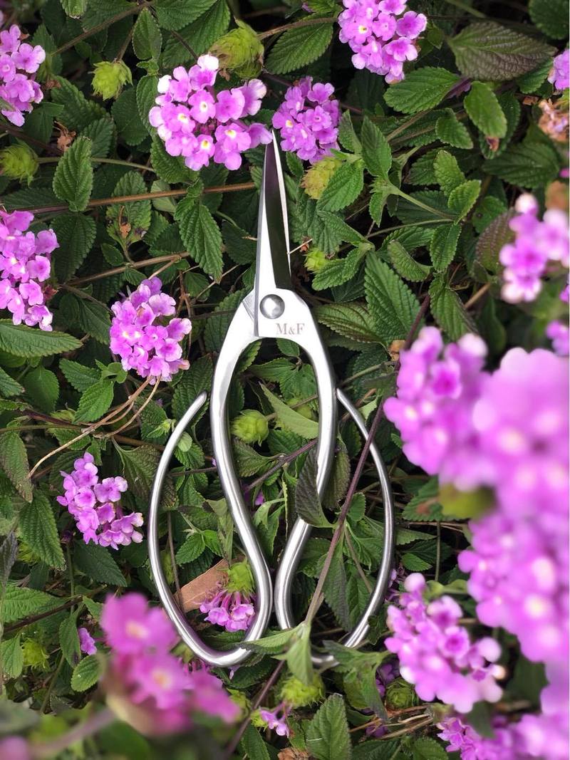 Bonsai Snips Gift Set ⎹ Bonsai Snips ⎹ Small Gift Box - Moor & Fen ...